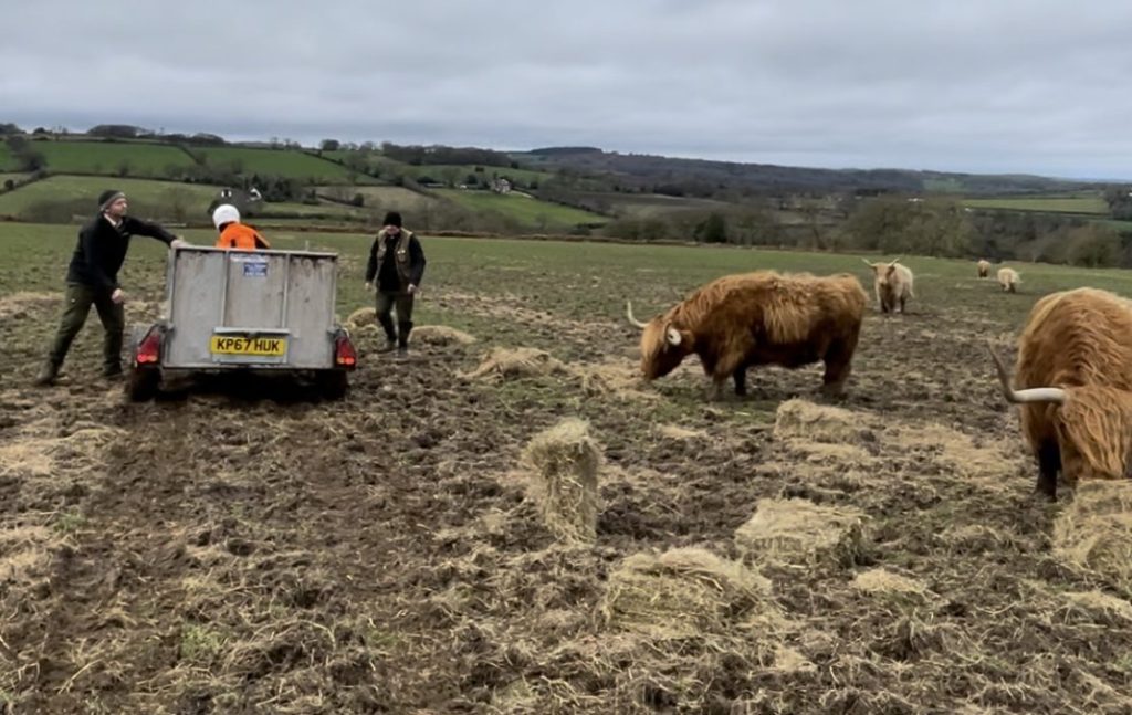 Tales from the trails - Leicestershire Country Parks